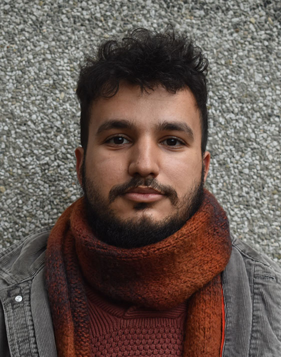 Pavle Aleksić: Ostrvo | Strane